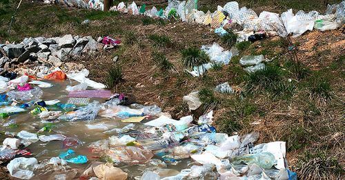 Cleanomic Free Trash Bags For Life